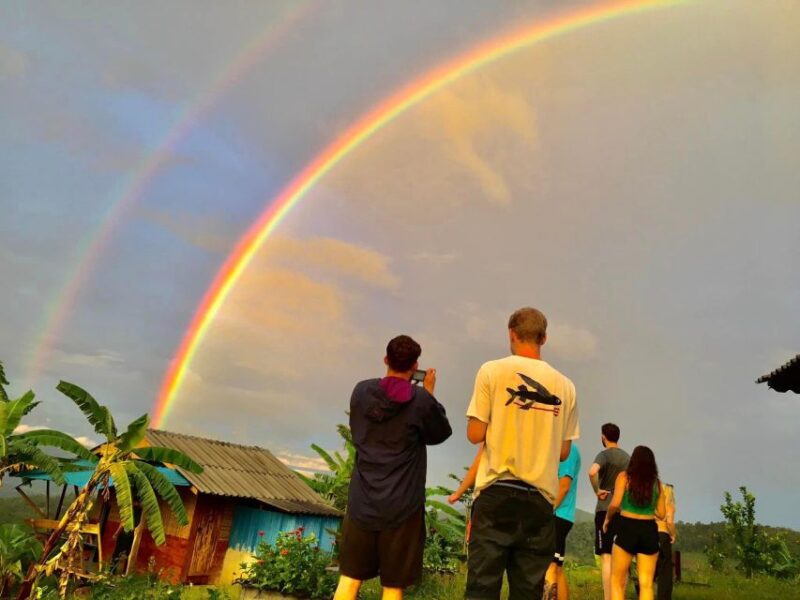 Chiang Mai: 2-Day Jungle Trek with Elephant Farm & Raft Ride - Introduction: A Genuine Adventure in Northern Thailand