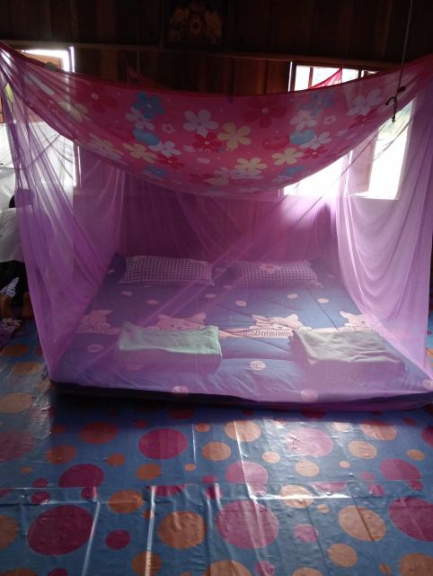 Chiang Mai: 2-Day Jungle Trek with Elephant Farm & Raft Ride - Final Thoughts: Is It Worth Your Time?