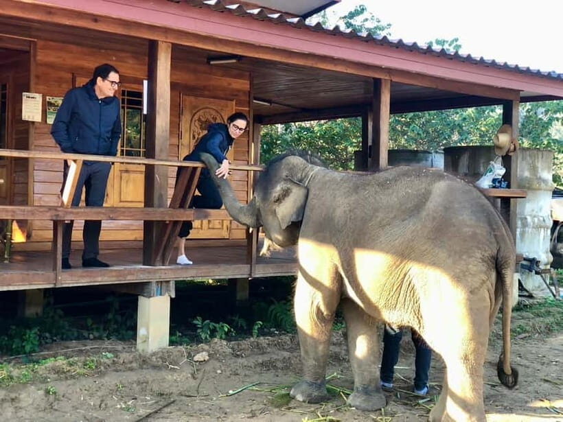 Chiang Mai: 2-Day Tour with Rafting, Elephants, and Waterfall - Who Should Consider This Tour?