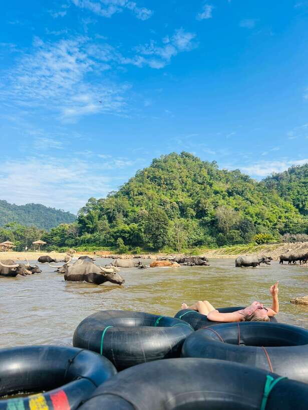 Chiang Mai 2-Day: Trek, Tubing, Waterfall & Elephant Feeding - Value for Money