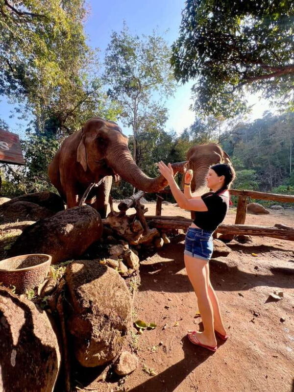 Chiang Mai 2-Day: Trekking, Tubing, Waterfalls & Elephant - Key Points