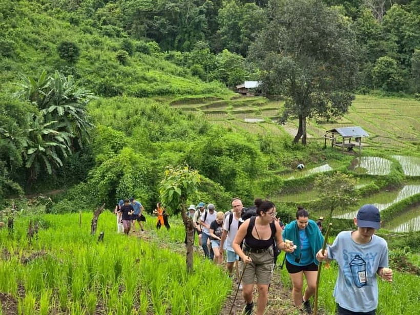 Chiang Mai: 2-Days Jungle Trek, Waterfalls and Karen Village - Exploring the Itinerary in Detail