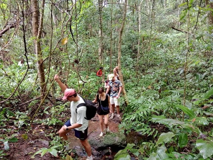 Chiang Mai: 2-Days Jungle Trek, Waterfalls and Karen Village - Practical Considerations and Value