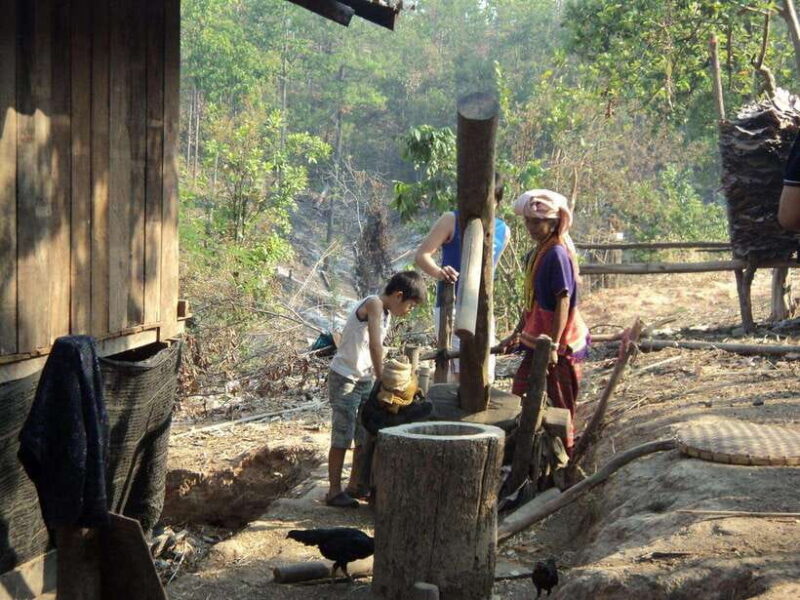 Chiang Mai: 2 Days Trek at Two Seasons Cliff - Practical Details and What to Expect