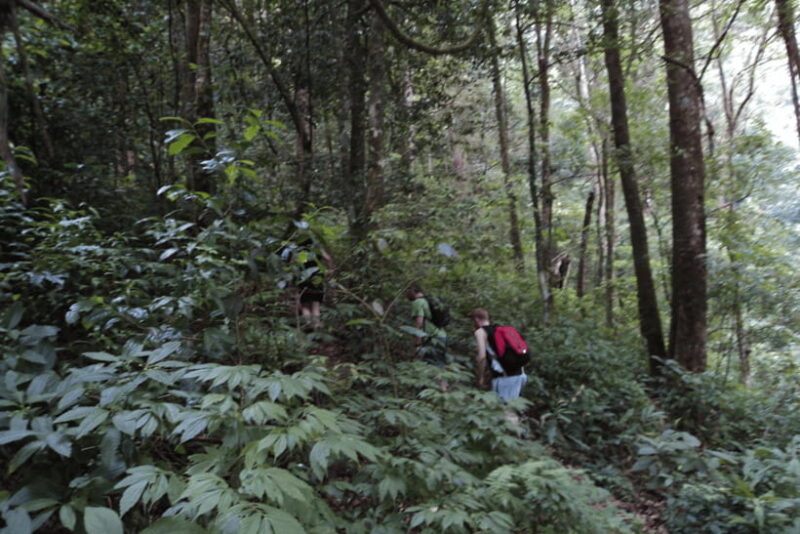Chiang Mai: 2 Days Trek at Two Seasons Cliff - The Sum Up: Is This Trek Right for You?