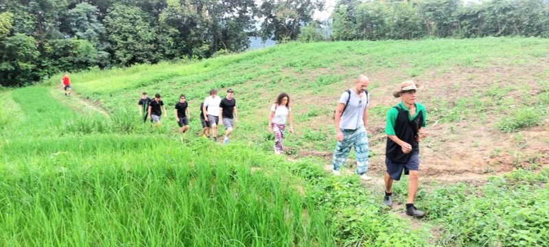 Chiang Mai: 2 days trekking & elephant care - Key Points