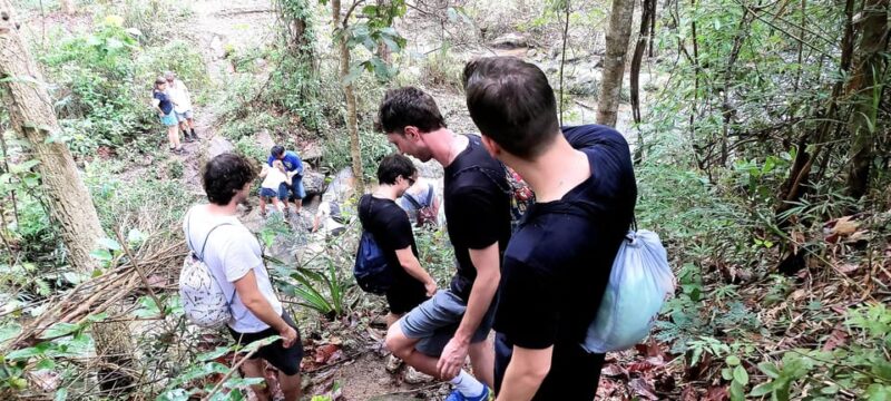 Chiang Mai: 2 days trekking & elephant care - What’s Included and What’s Not