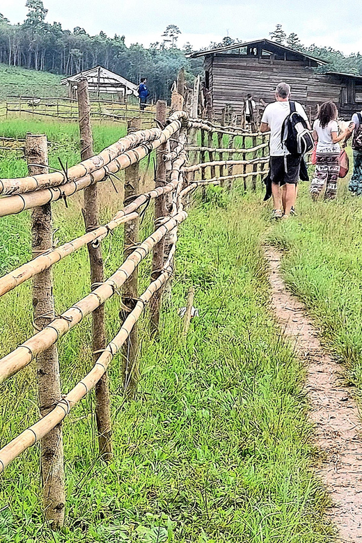 Chiang Mai: 2 days trekking & elephant care - The Sum Up: A Genuine Thai Encounter Worth Considering