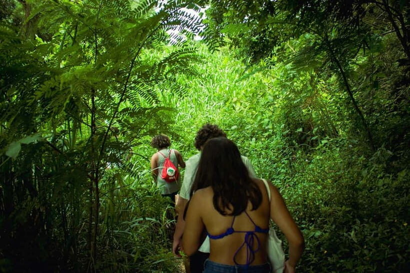 Chiang Mai: 3-Day Karen Hill Tribe Immersion with Trekking - Journey Through the Heart of Doi Inthanon