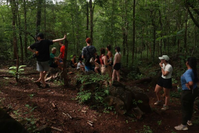 Chiang Mai: 3 Days 2 Nights Experience Trek Mae Taeng Area - An In-Depth Look at the Chiang Mai Trek Experience