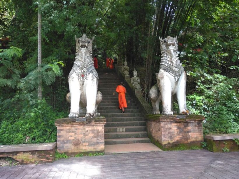 Chiang Mai: 7-Hour Doi Suthep National Park Summit Hiking - The Itinerary Breakdown