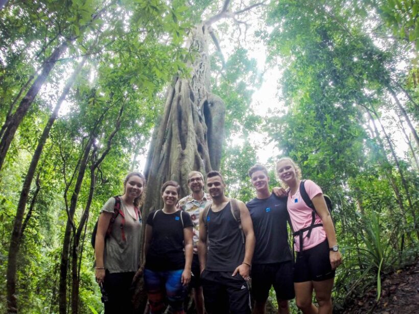 Chiang Mai: 7-Hour Doi Suthep National Park Summit Hiking - The Practical Aspects