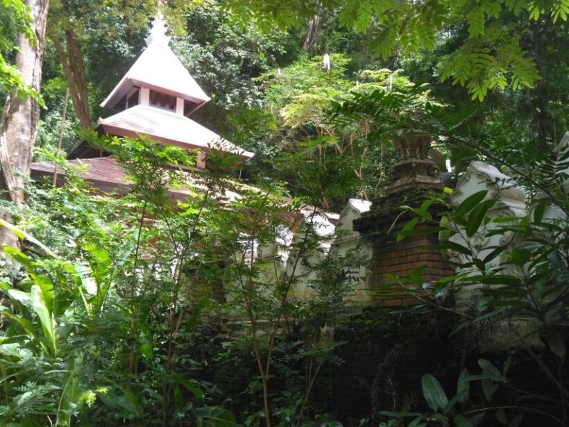 Chiang Mai: 7-Hour Doi Suthep National Park Summit Hiking - The Value Proposition