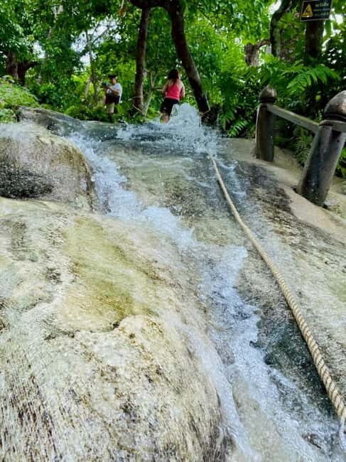 Chiang Mai: Afternoon Bua Tong Sticky Waterfall by Red Taxi - Who Should Consider This Tour?