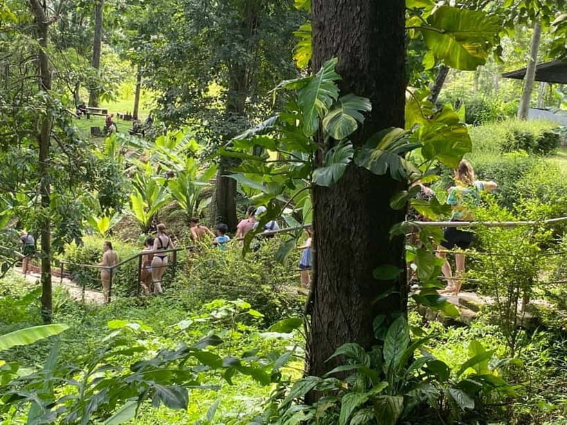 Chiang Mai: Afternoon Bua Tong Sticky Waterfall by Red Taxi - FAQs