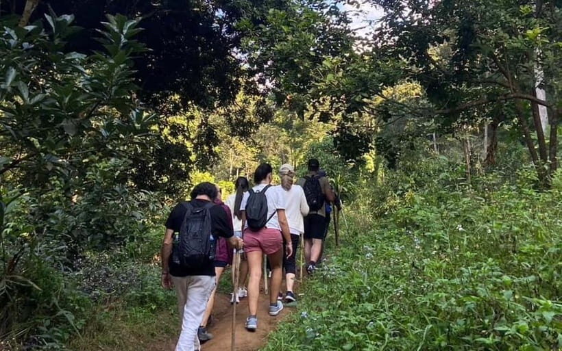 Chiang Mai: ATV Adventure, Jungle Hike & White Water Rafting - Practical Aspects and What to Bring