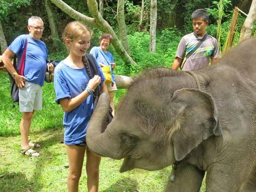 Chiang Mai : ATV Tour + Elephant Care - An In-Depth Look at the Chiang Mai ATV + Elephant Care Tour