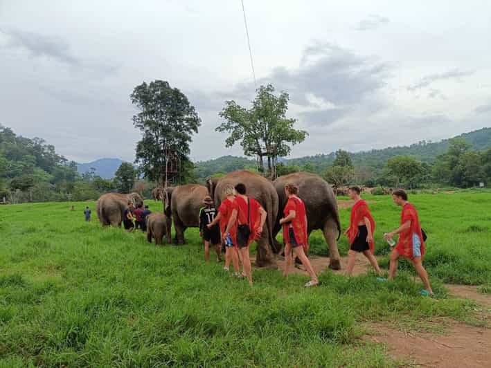 Chiang Mai : ATV Tour + Elephant Care - Key Points