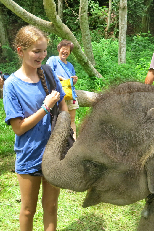 Chiang Mai : ATV Tour + Elephant Care - Is It Worth the Price?