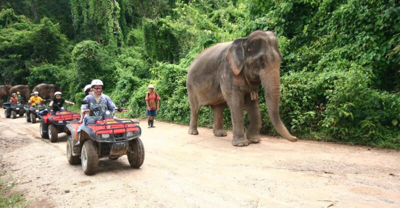 Chiang Mai : ATV Tour - Comfort, Safety, and Practical Details