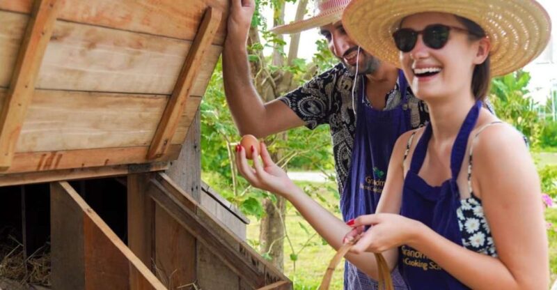 Chiang Mai: Authentic Thai Cooking Class and Farm Visit - Key Points