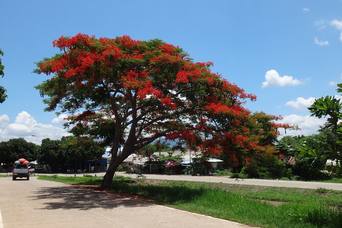 Chiang Mai Biking & River Kayak : Gentle Thrills in a Lush Valley - What’s Included and What to Keep in Mind