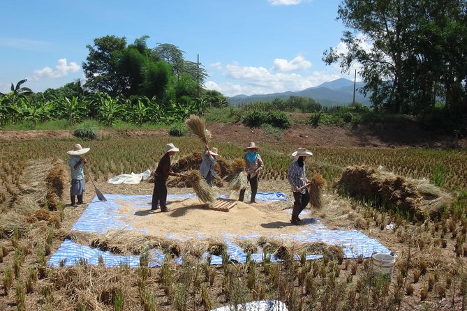 Chiang Mai Biking & River Kayak : Gentle Thrills in a Lush Valley - Final Thoughts: Why Consider This Experience?