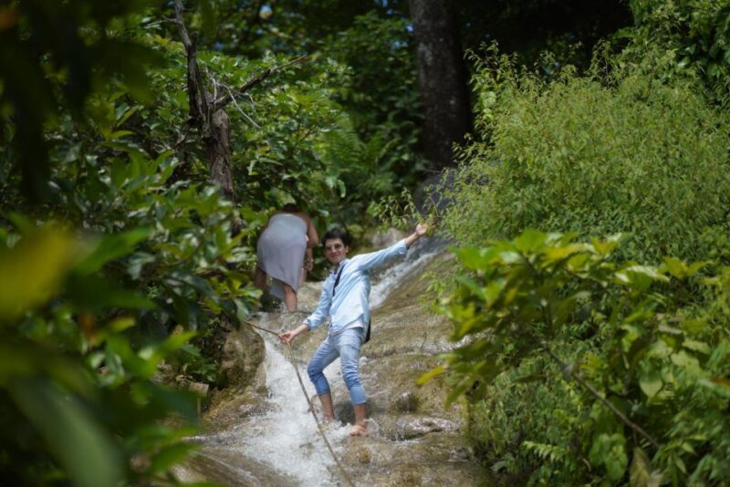 Chiang Mai: Bua Thong Sticky Waterfall and Huge Cave Tour - Authentic Experiences and Genuine Highlights