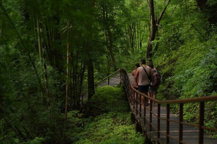 Chiang Mai: Bua Thong Sticky Waterfall & Huge Cave & Buffet - A Full Breakdown of the Experience