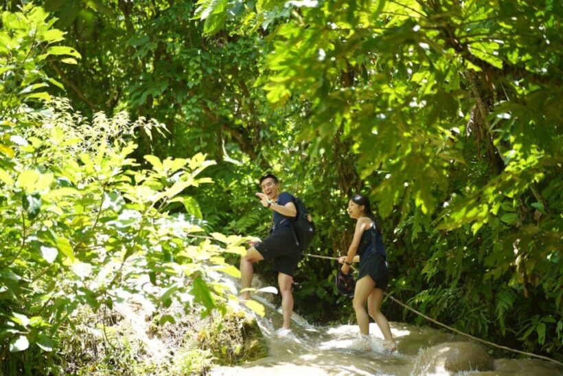 Chiang Mai: Bua Thong Sticky Waterfall & Huge Cave & Buffet - What Could Be Better?