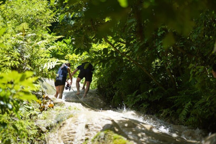 Chiang Mai: Bua Thong Sticky Waterfall & Huge Cave & Buffet - The Sum Up