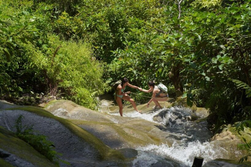 Chiang Mai: Bua Thong Sticky Waterfall & Huge Cave & Buffet - FAQ