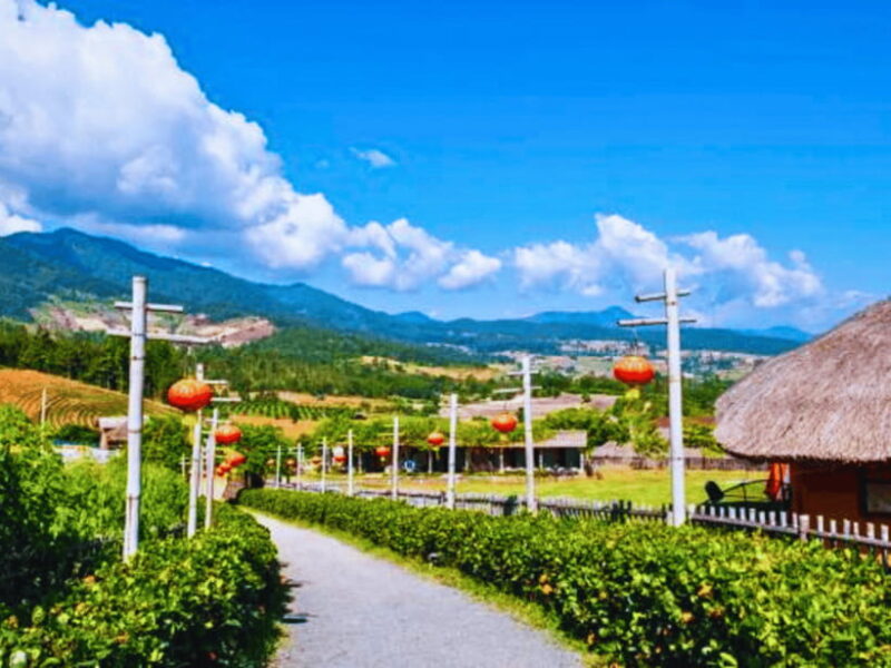 Chiang Mai : Charming Pai in One Day Trip with Driver - Key Points