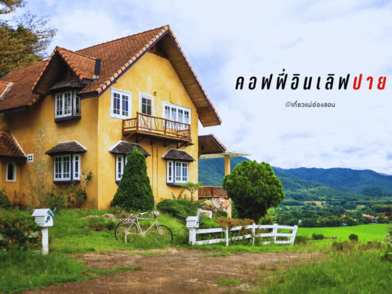Chiang Mai : Charming Pai in One Day Trip with Driver - Why This Tour Is A Great Choice