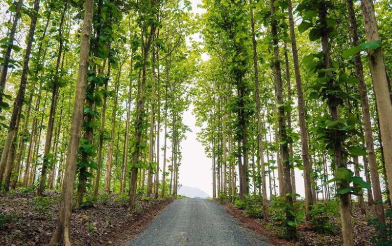 Chiang Mai: Chiang Dao 2 Days 1 Night Private Tour - Whats Included and Whats Not