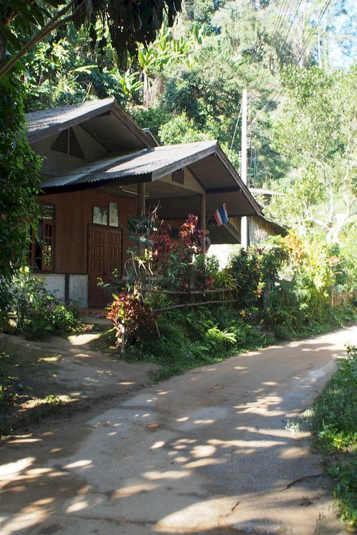 Chiang Mai: Chiang Dao Caves and Jungle Trek with Lunch - Key Points