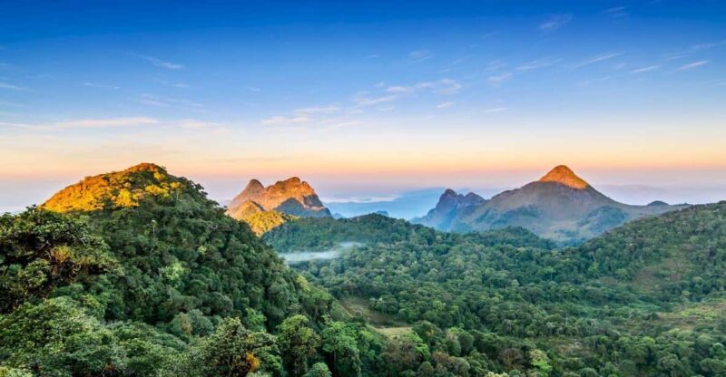 Chiang Mai: Chiang Dao Caves and Jungle Trek with Lunch - The Experience: What Travelers Are Saying