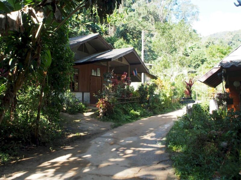 Chiang Mai: Chiang Dao Caves and Jungle Trek with Lunch - Practical Details and Tips