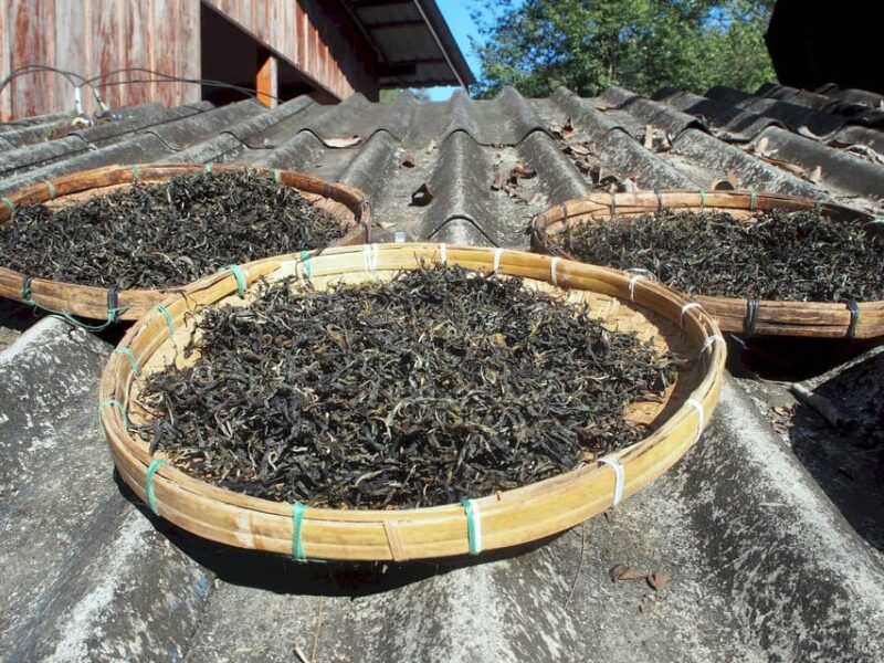 Chiang Mai: Chiang Dao Caves and Jungle Trek with Lunch - Final Thoughts