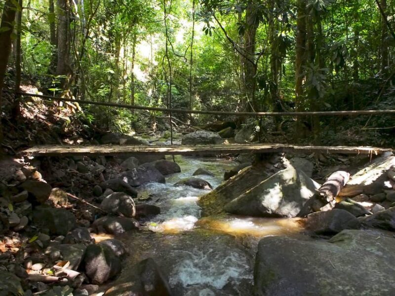 Chiang Mai: Chiang Dao Caves and Jungle Trek with Lunch - FAQs