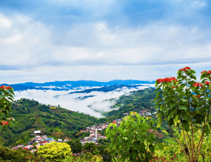 Chiang Mai: Chiang Rai Highlights & Scenic Landscapes Tour - Who Would Love This Tour?