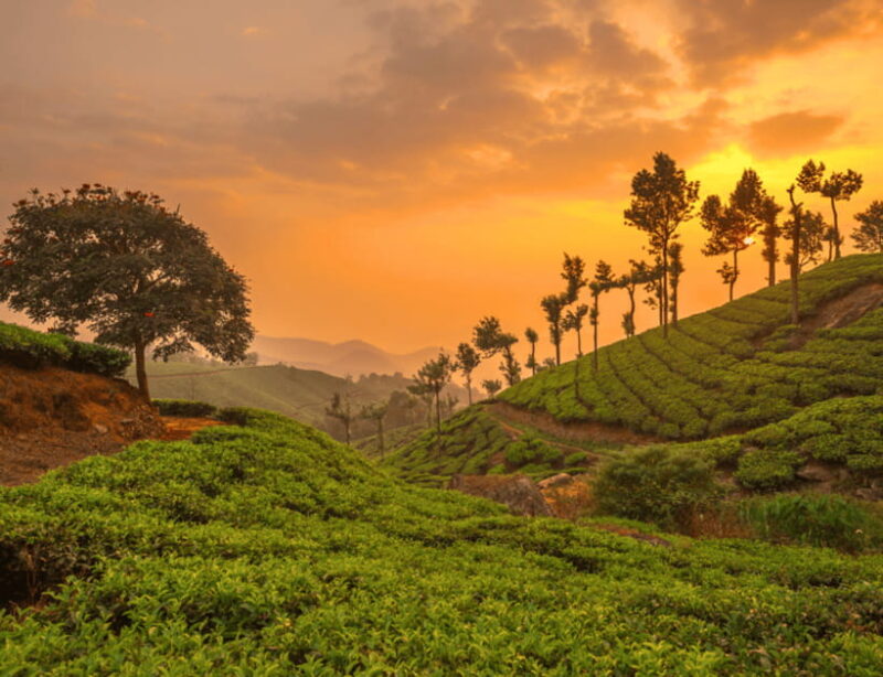 Chiang Mai: Chiang Rai Highlights & Scenic Landscapes Tour - Final Thoughts