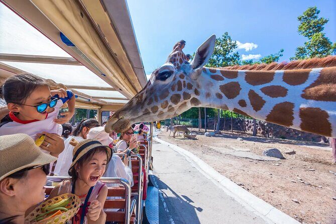 Chiang Mai City Premium Day Pass Includes Zipline - Is This Pass Worth the Investment?