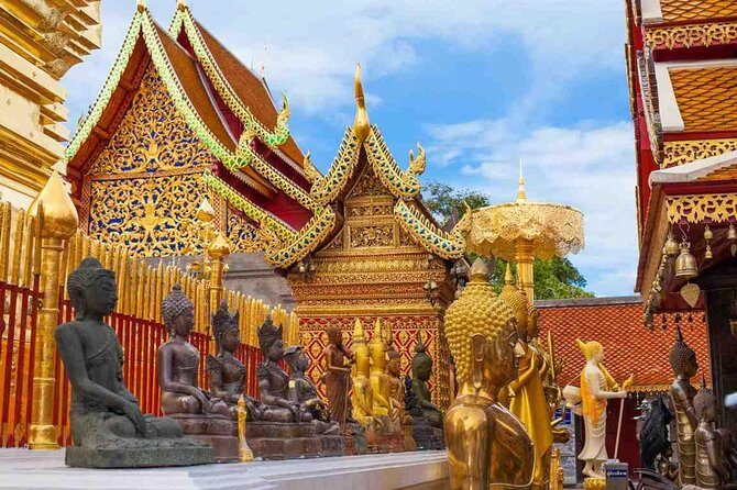 Chiang Mai City, Wat Doi Suthep, Wat Chedi Luang and Wat Pha Lat - Who Will Love This Tour?