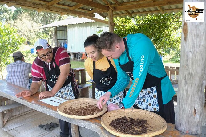 Chiang Mai Coffee Tour: Trekking to Farm, Roast and Brew Workshop - An Overview of the Chiang Mai Coffee Tour