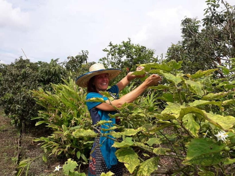Chiang Mai: Cooking in Organic Farm with a Local Train Trip - A Scenic Journey to the Heart of Northern Thailand
