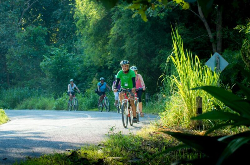Chiang Mai Countryside E-bike Ride with Expert Guide & Lunch - What the Reviews Say