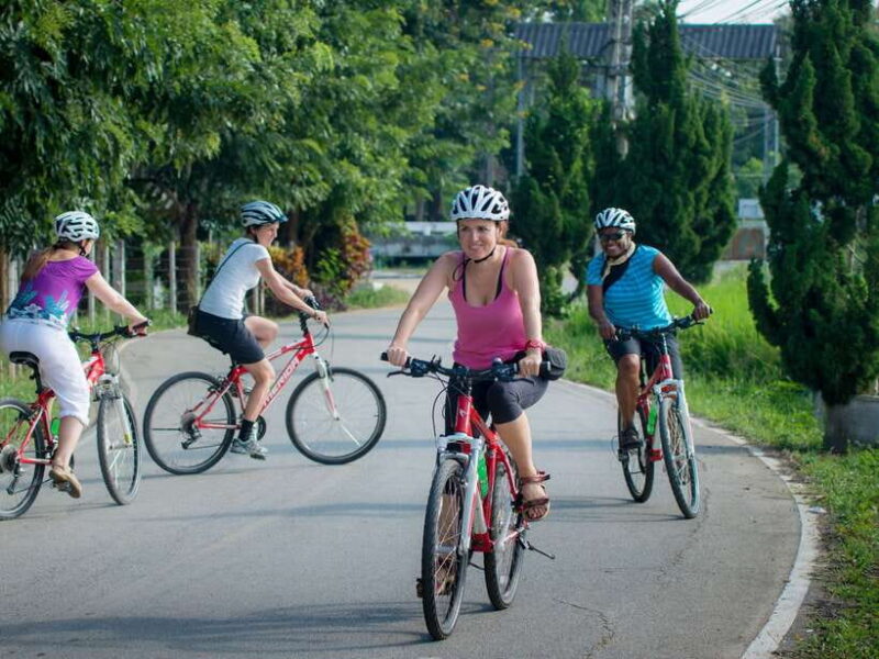 Chiang Mai Countryside E-bike Ride with Expert Guide & Lunch - The Sum Up: Is This Tour Right for You?