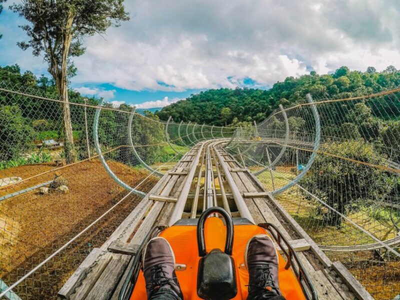 Chiang Mai: Customizable Chiang Mai Surrounding Areas Tour - What Makes This Tour Stand Out?