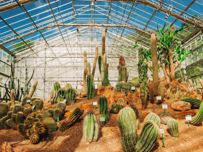 Chiang Mai: Customizable Chiang Mai Surrounding Areas Tour - Who Will Love This?